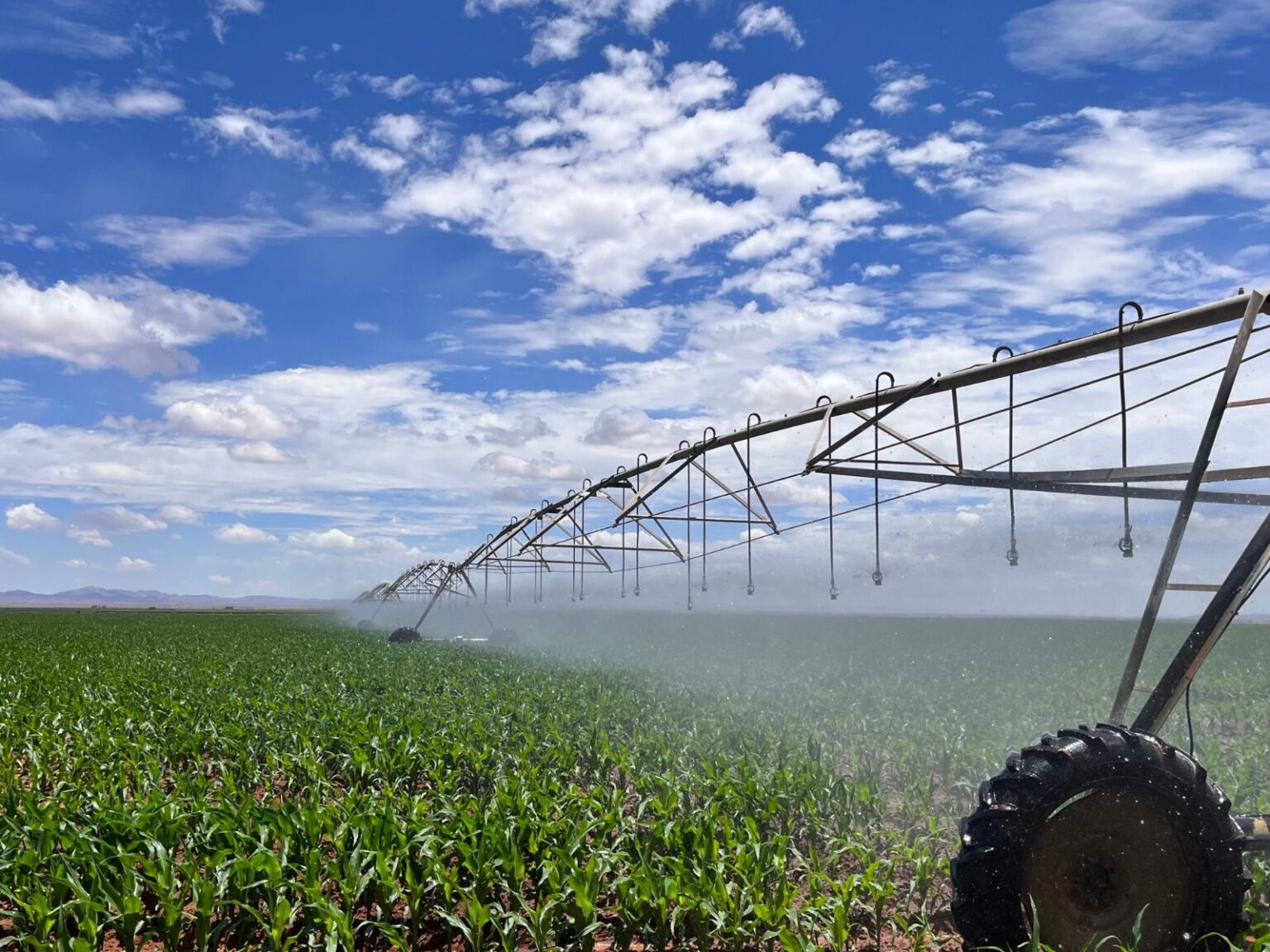 Abre Agricultura reinscripciones del Programa Especial de Energía para el Campo 2025 | Campo ...