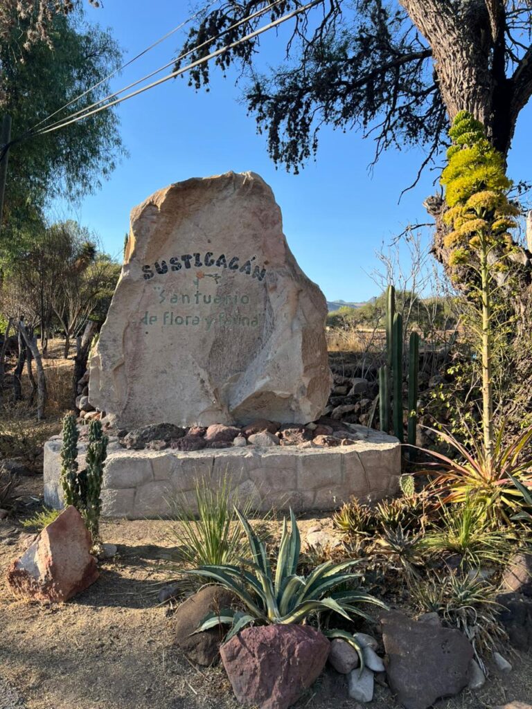 Bautizan pobladores y turistas a Susticacán como el “pueblo más limpio ...