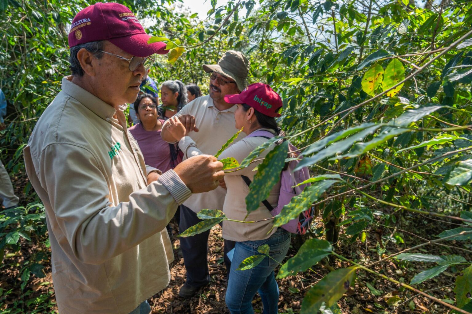 AGRICULTURA rinde cuentas: presenta avances en autosuficiencia, soberanía alimentaria y ...