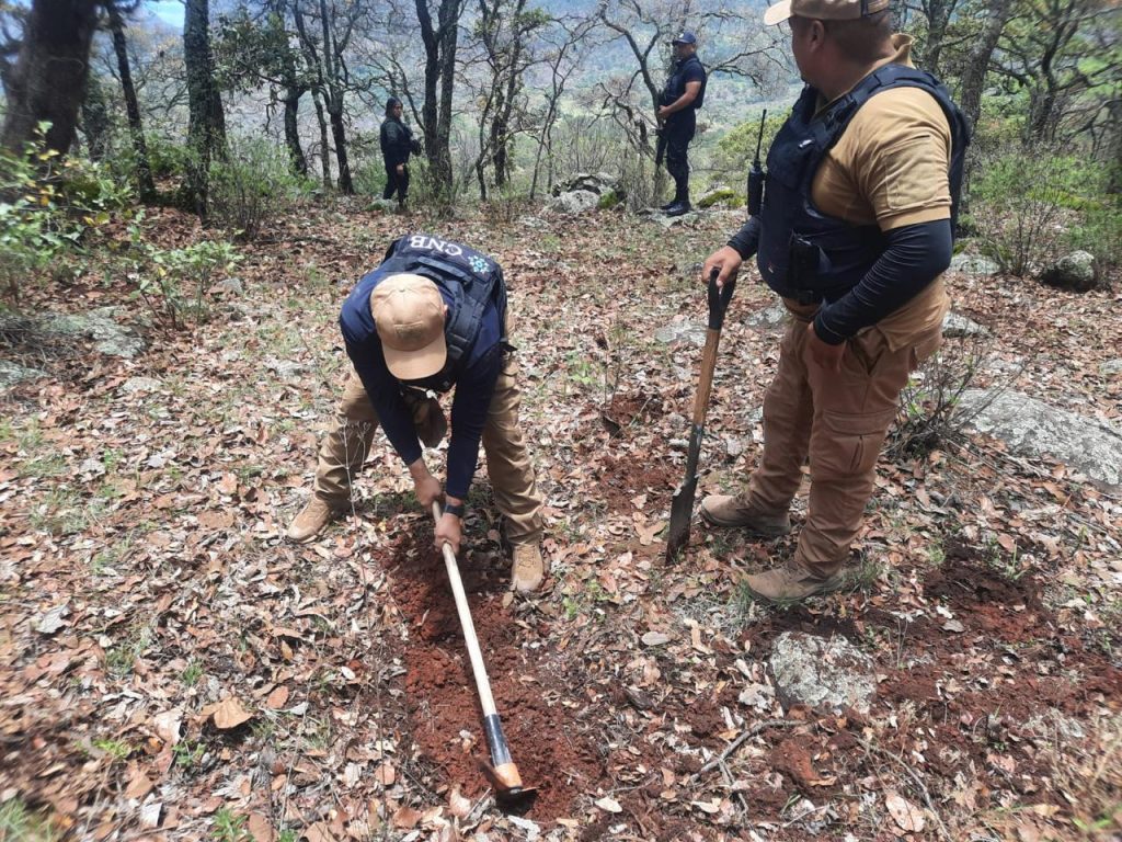 Realiza Gobierno del Estado búsqueda forense en zona serrana de ...